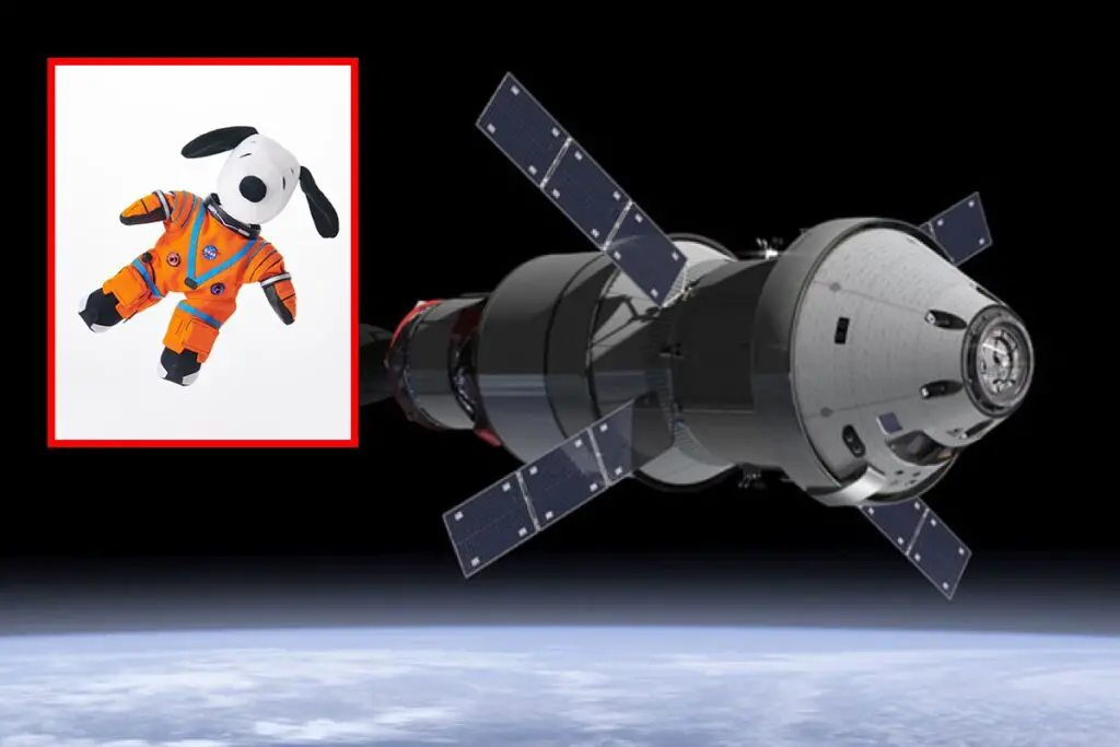 ‘Astronaut’ Snoopy to fly to moon on NASA's Artemis I mission in one-of ...