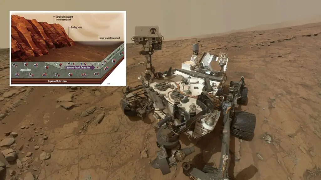 Organic chemicals 'Essential for life' discovered by Perseverance rover ...