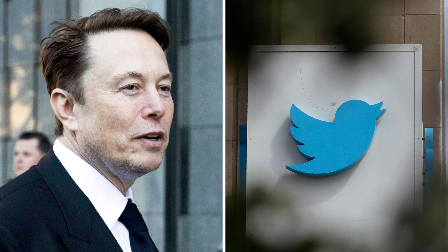 Just in: Elon Musk Fires The Remaining 'Woke' Employees From Twitter Just in: Elon Musk Fires The Remaining 'Woke' Employees From Twitter