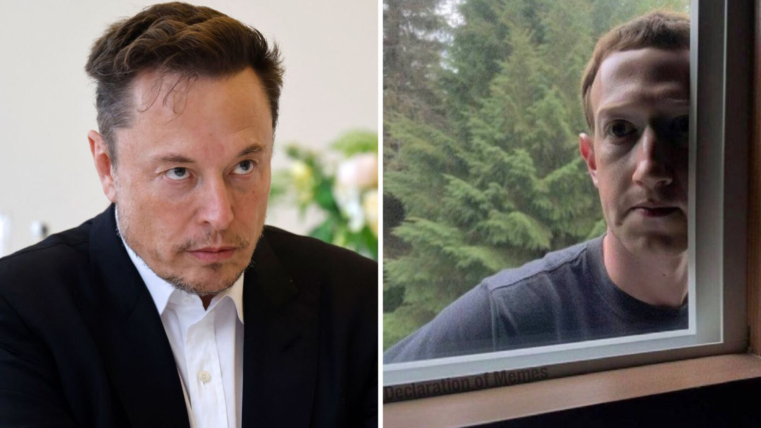 'It's Personal Now Lizard Boy': Elon Musk Takes A Jab At Zuckerberg For ...