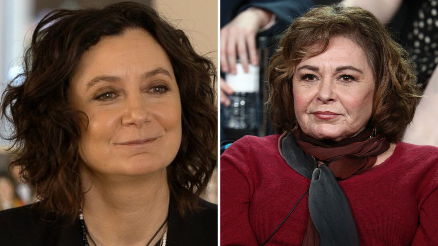 Breaking: Sarah Gilbert Begs Roseanne for A 'Small' Role in Her Latest ...